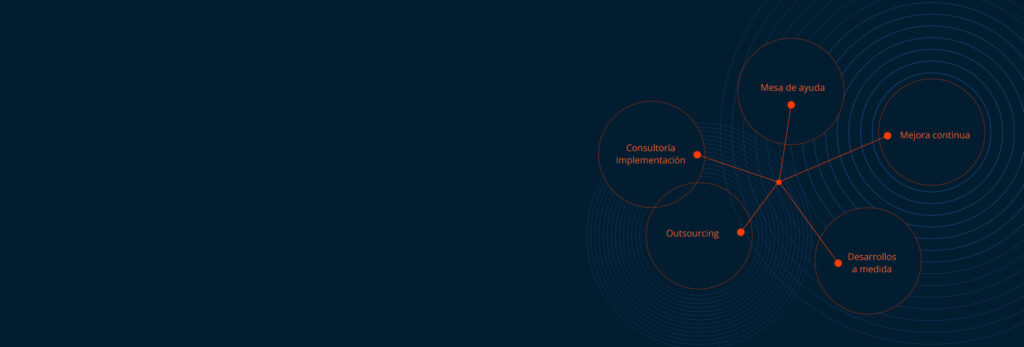 Servicios #2 | intec software