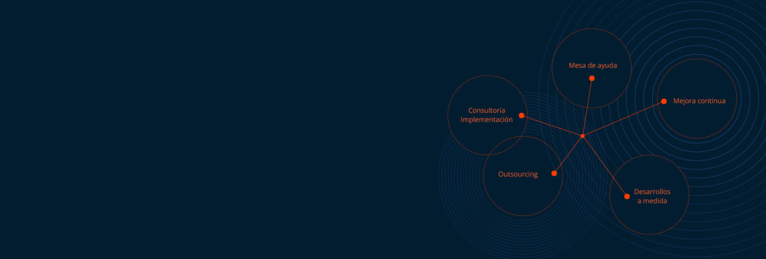 Servicios #2 | intec software